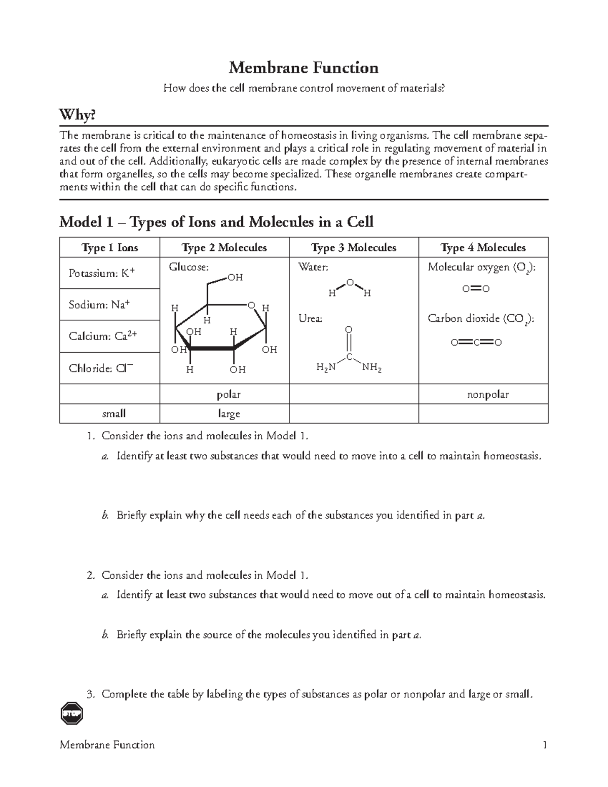 Membrane Function- Pogil-1 - Membrane Function 1 Membrane Function How ...
