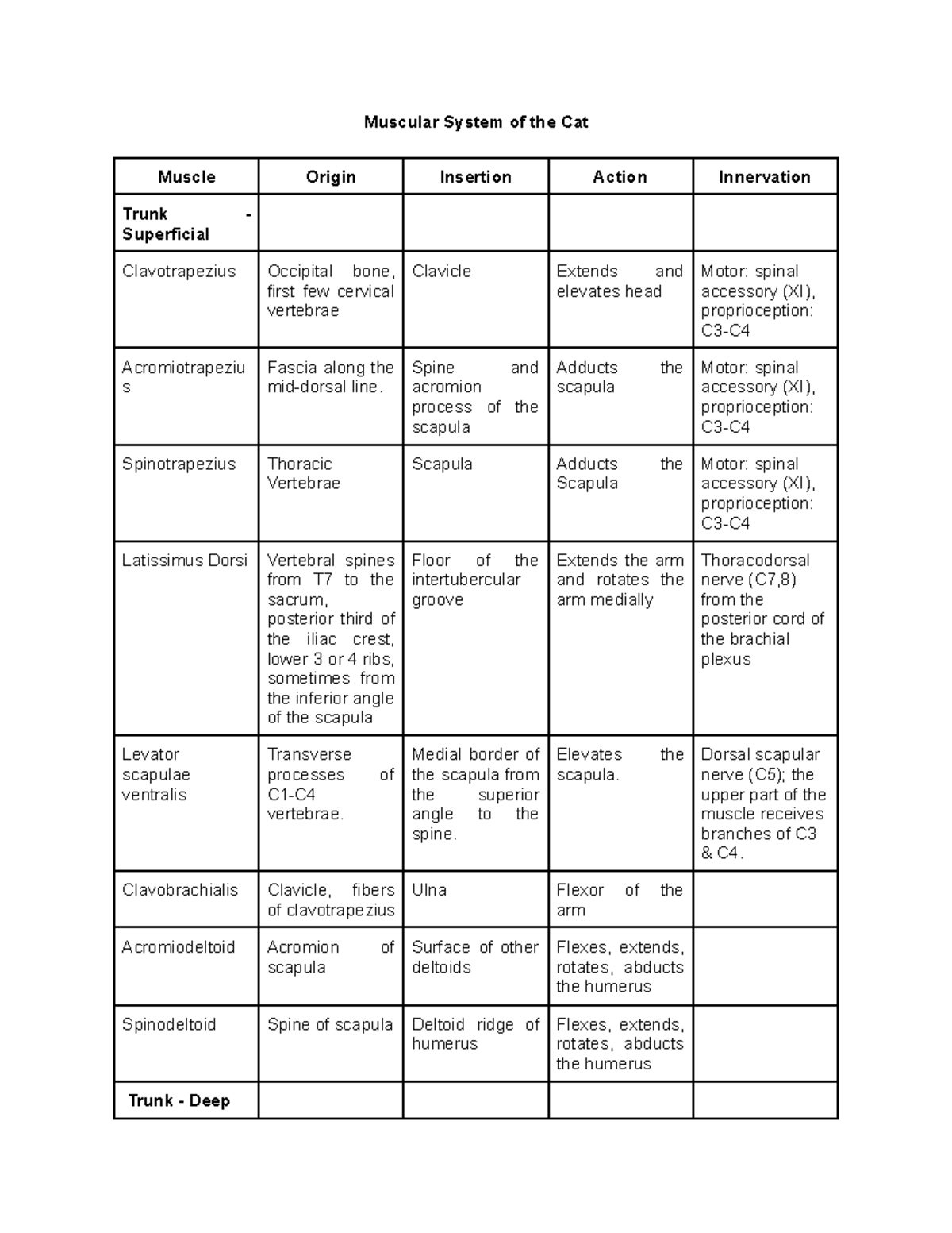 Muscles - Muscular System of the Cat Muscle Origin Insertion Action ...