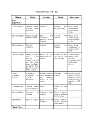 Language of Anatomy - the study of the structures. the study of the ...