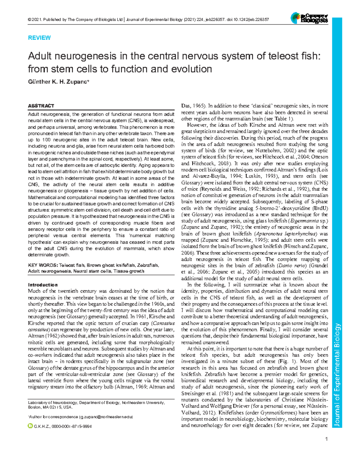 Ftyuj - jkon - REVIEW Adult neurogenesis in the central nervous system ...