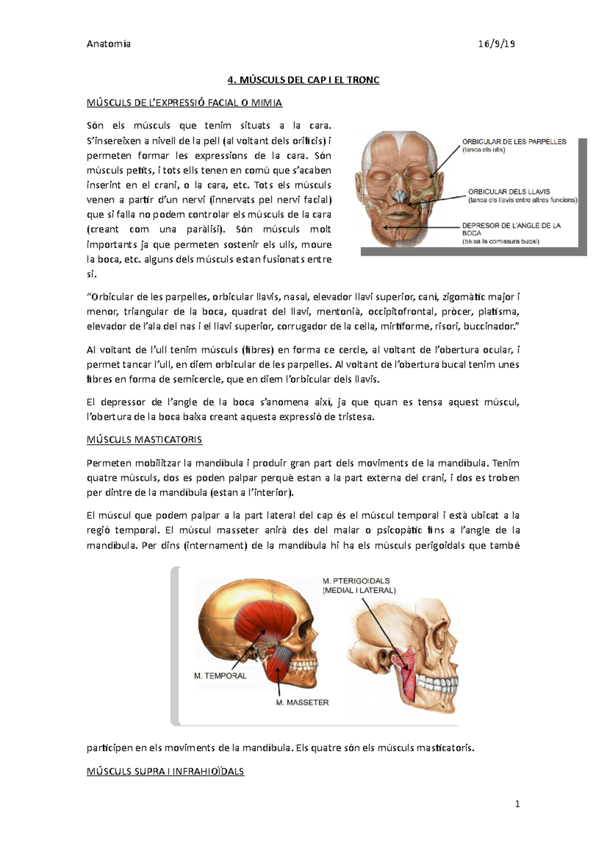 4. Músculs del cap i el tronc (power 4) - 4. MÚSCULS DEL CAP I EL TRONC ...