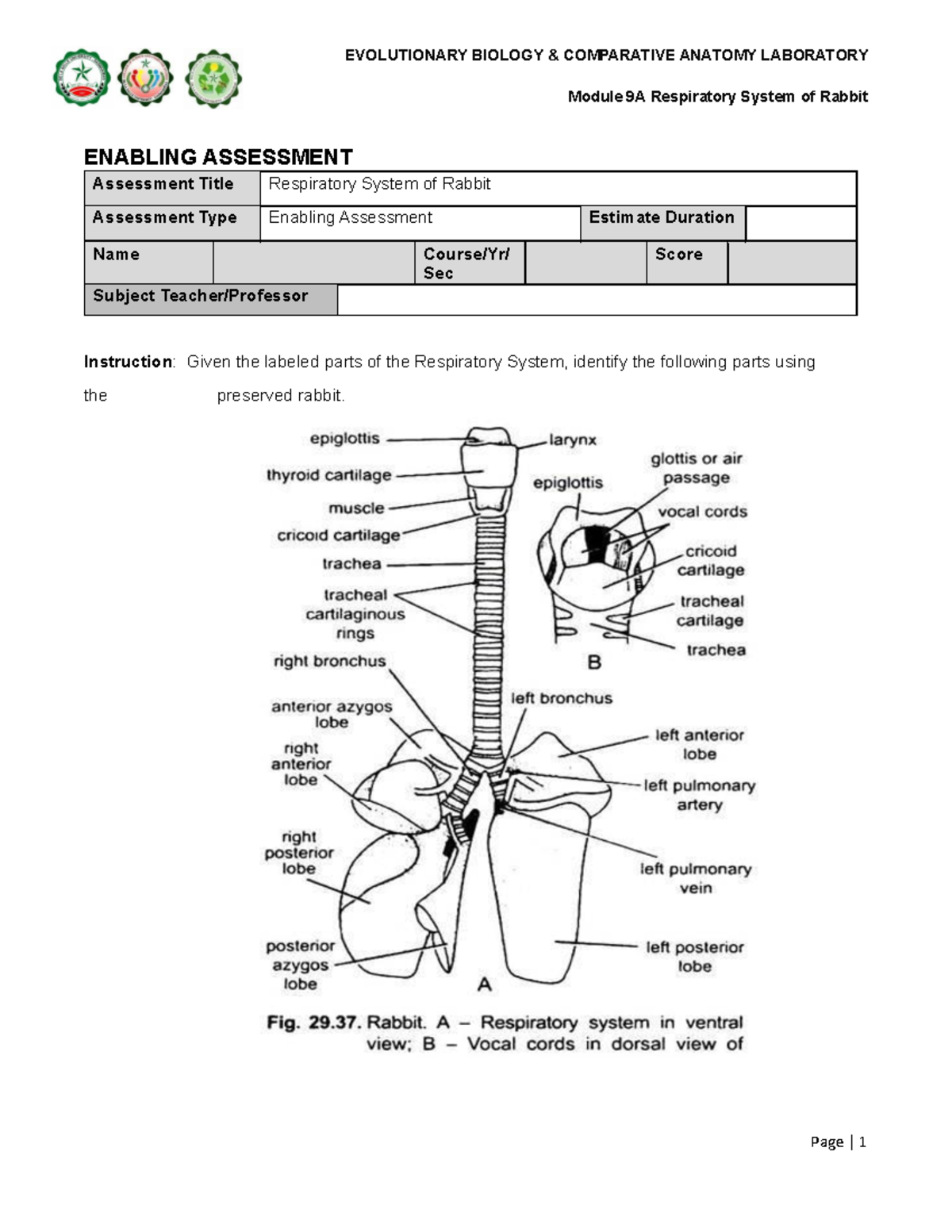 Module-9A-Respiratory-System-of-Rabbit 3 - EVOLUTIONARY BIOLOGY ...
