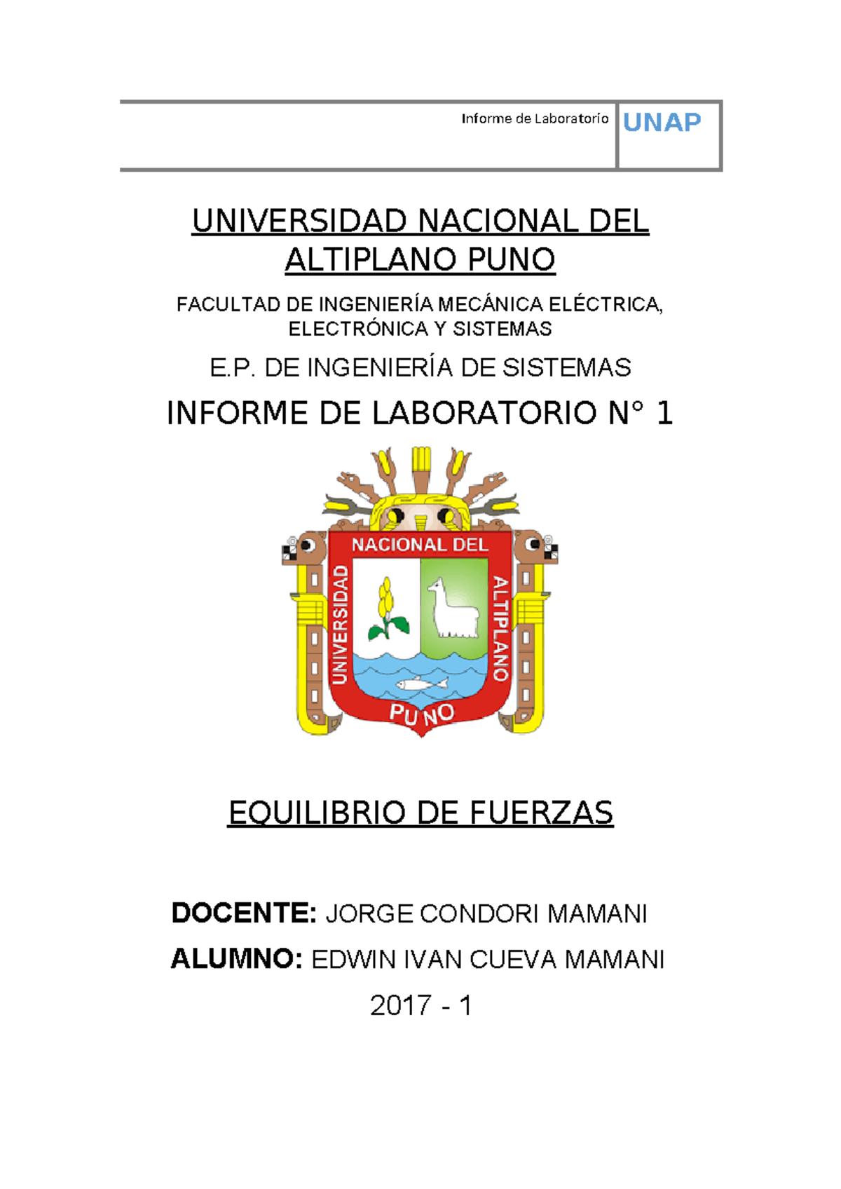 Laboratorio 1 equilibrio de fuerzas UNAP - UNAP UNIVERSIDAD NACIONAL ...