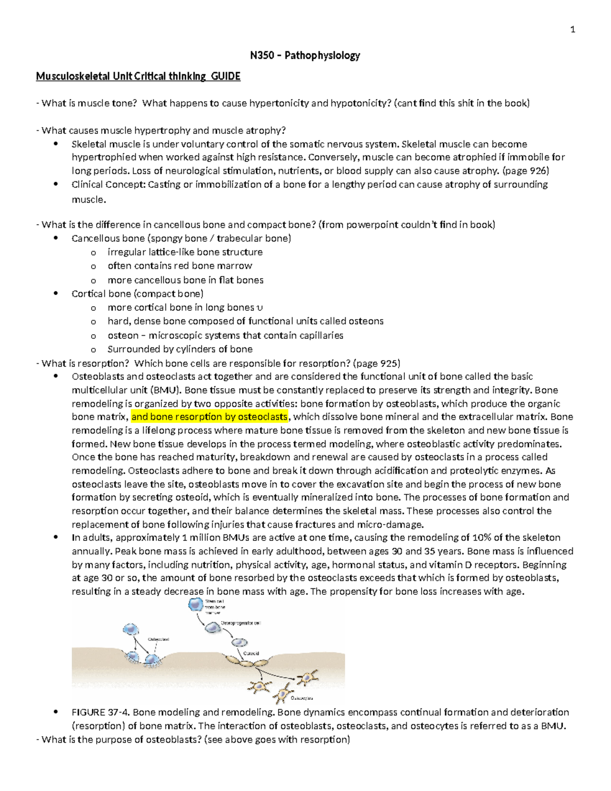 N350- Musculoskeletal Critical Thinking Guide-1 - N350 ...