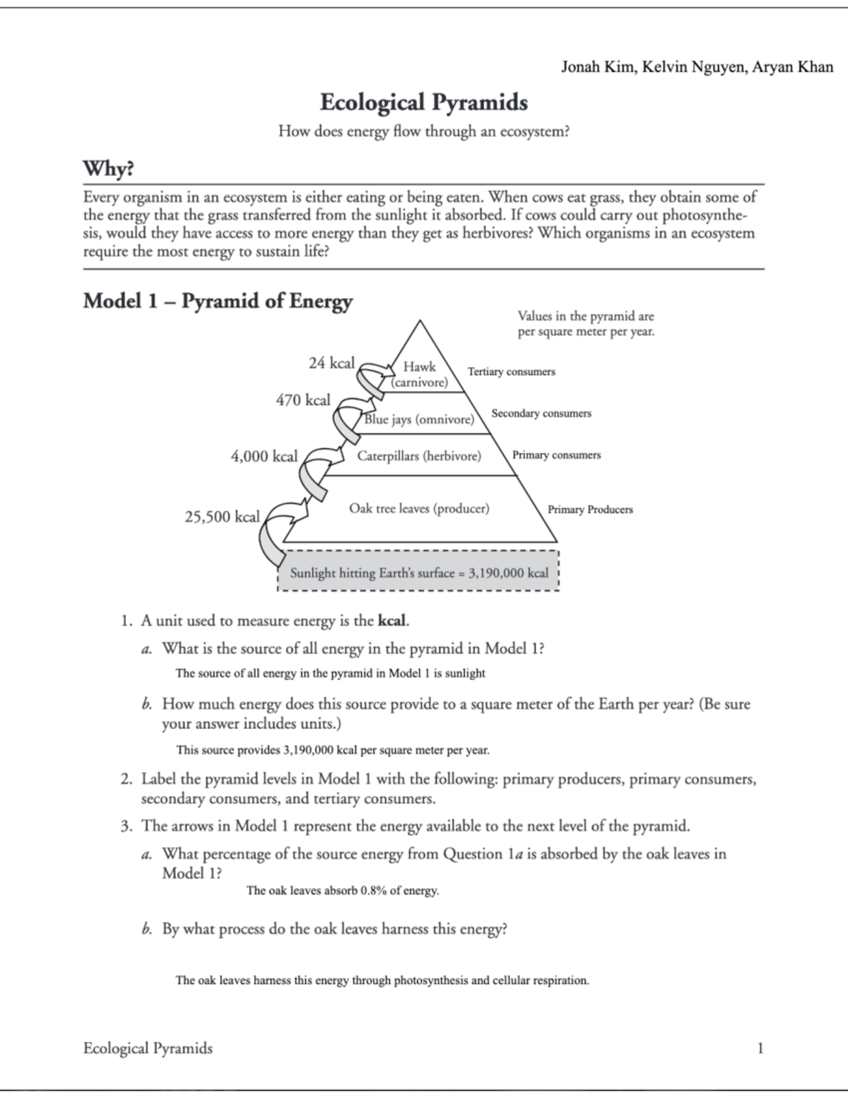 Ecological pyramids 1 - Studocu