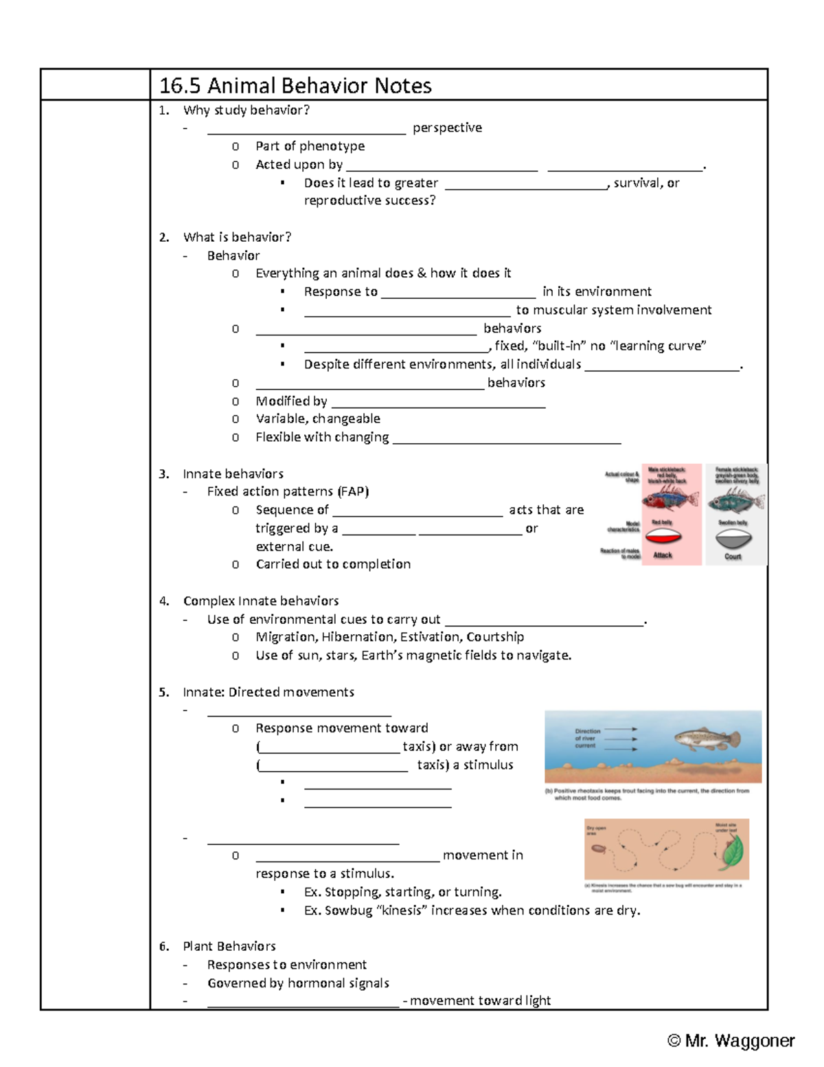 Animal Behavior Guided Notes-1 - 16 Animal Behavior Notes Why study ...