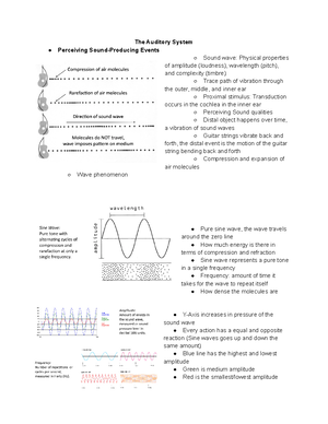 Perception Module 7 - Visual Motion - Motion Perception Motion ...