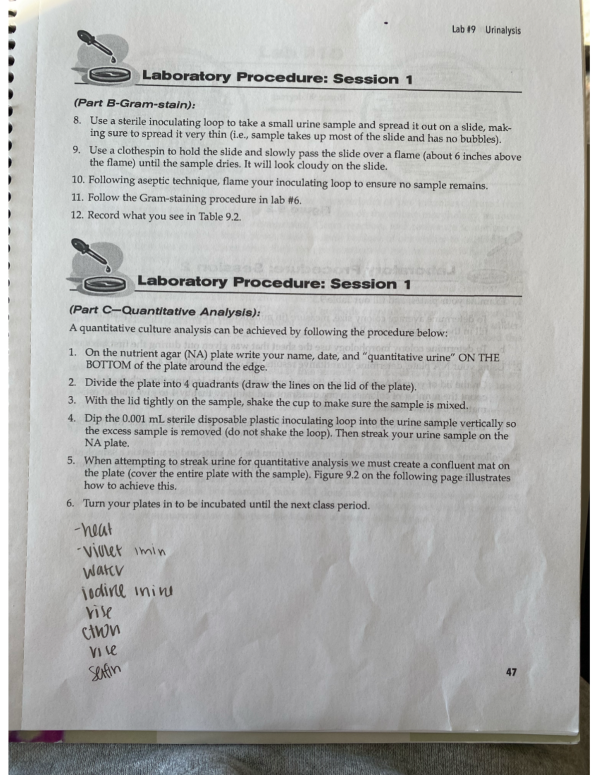 Lab #9 pg 5 - Laboratory procedure session 1 part b and c - Bisc 210 ...