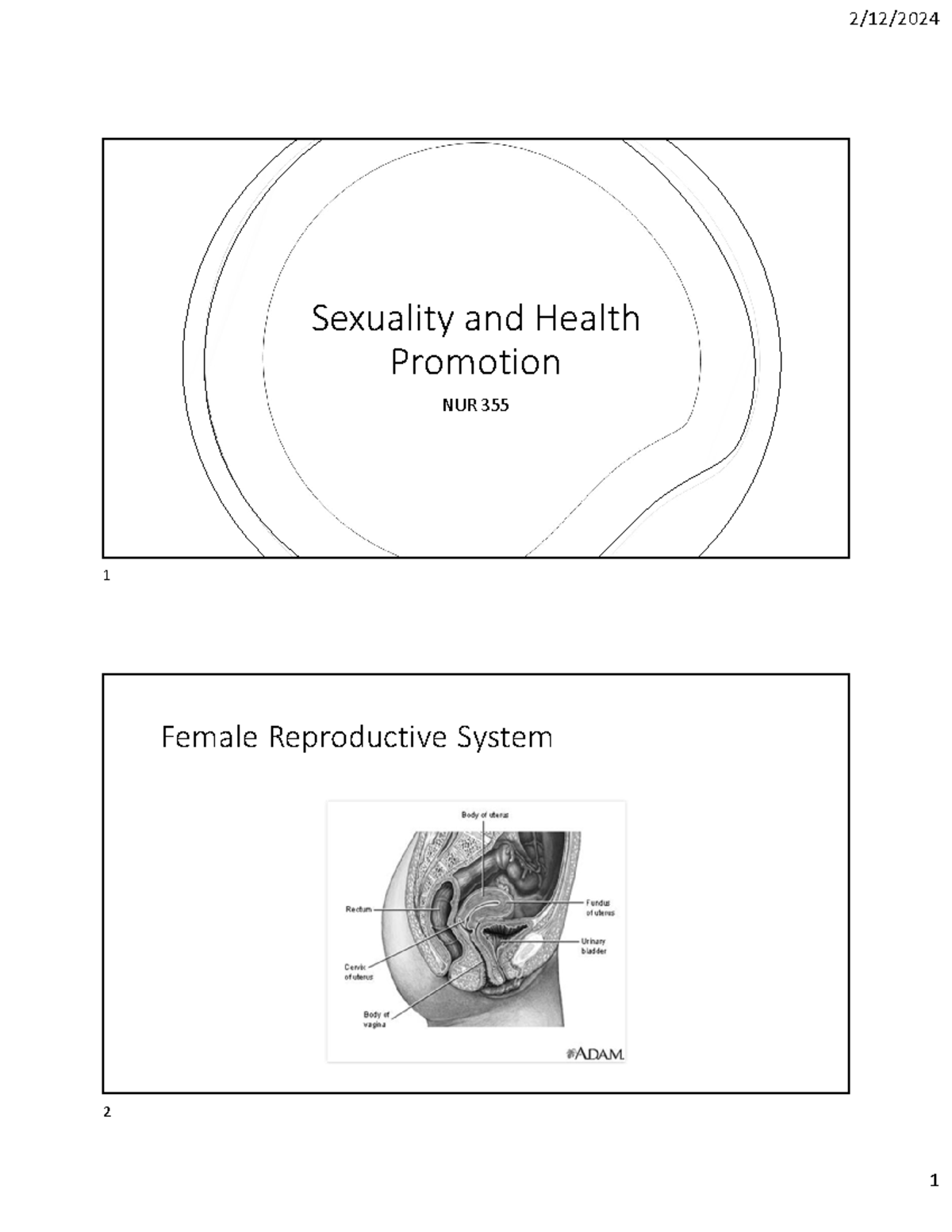 Sexuality Printout - Sexuality and Health Promotion NUR 355 Female ...