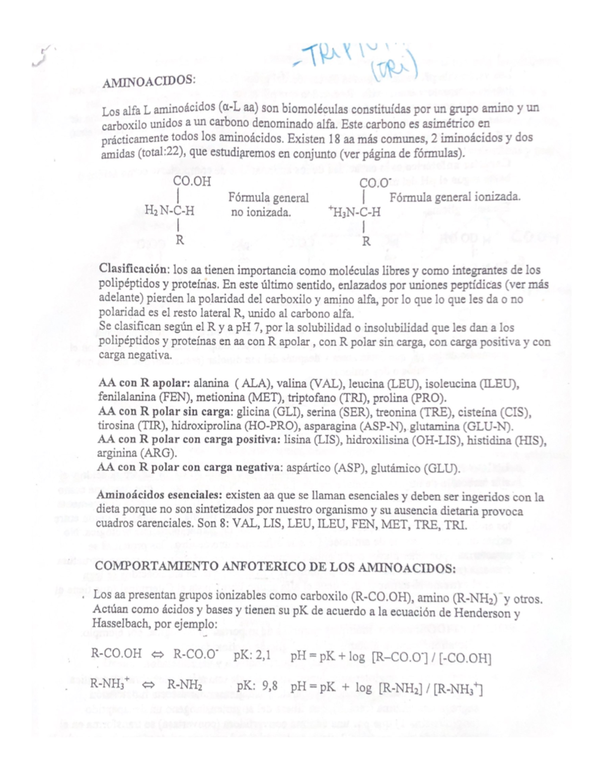 Aminoacidos - N mnvc - Diagnóstico y Tratamiento de Niños y ...