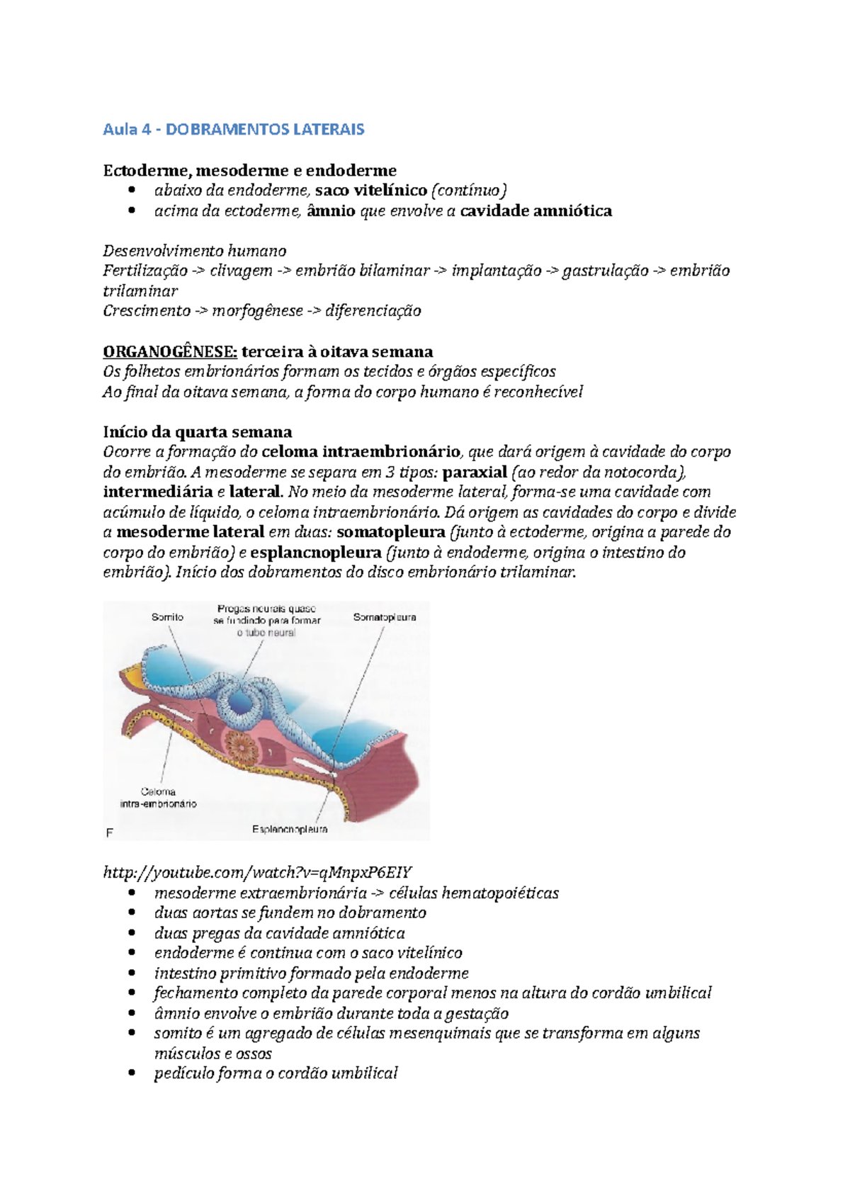Embriologia - Dobramentos Laterais - Aula 4 - DOBRAMENTOS LATERAIS ...