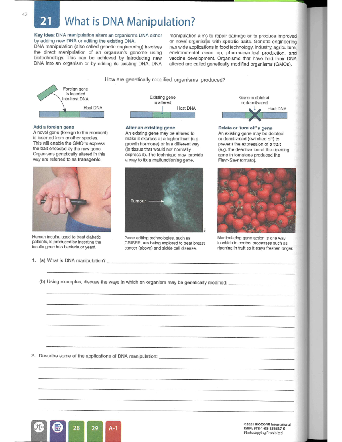 Tools of Genetics (Bio Z) Booklet 2022 - Studocu