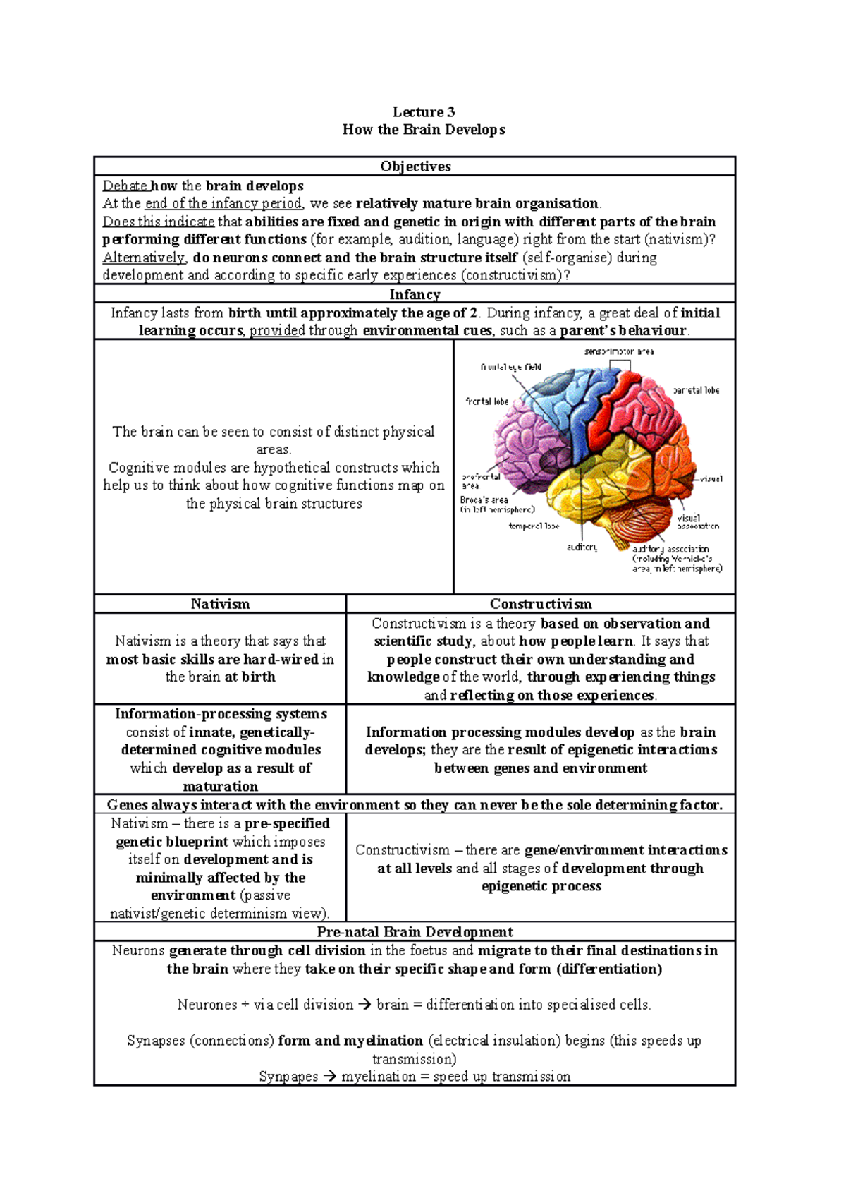 Developmental 3 - Lecture notes 3 - Lecture 3 How the Brain Develops ...