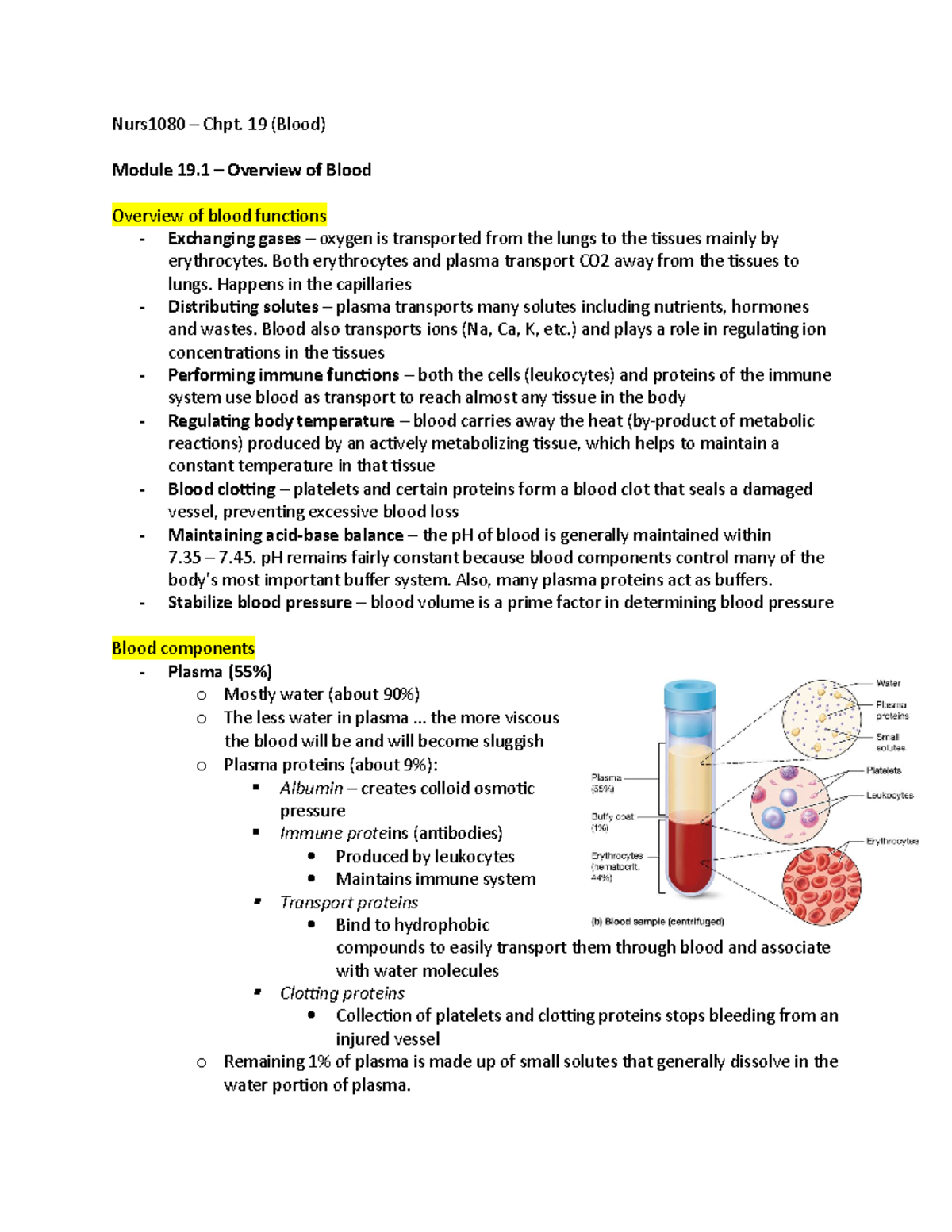 Chpt. 19 Notes (Blood) - Nurs1080 – Chpt. 19 (Blood) Module 19 ...