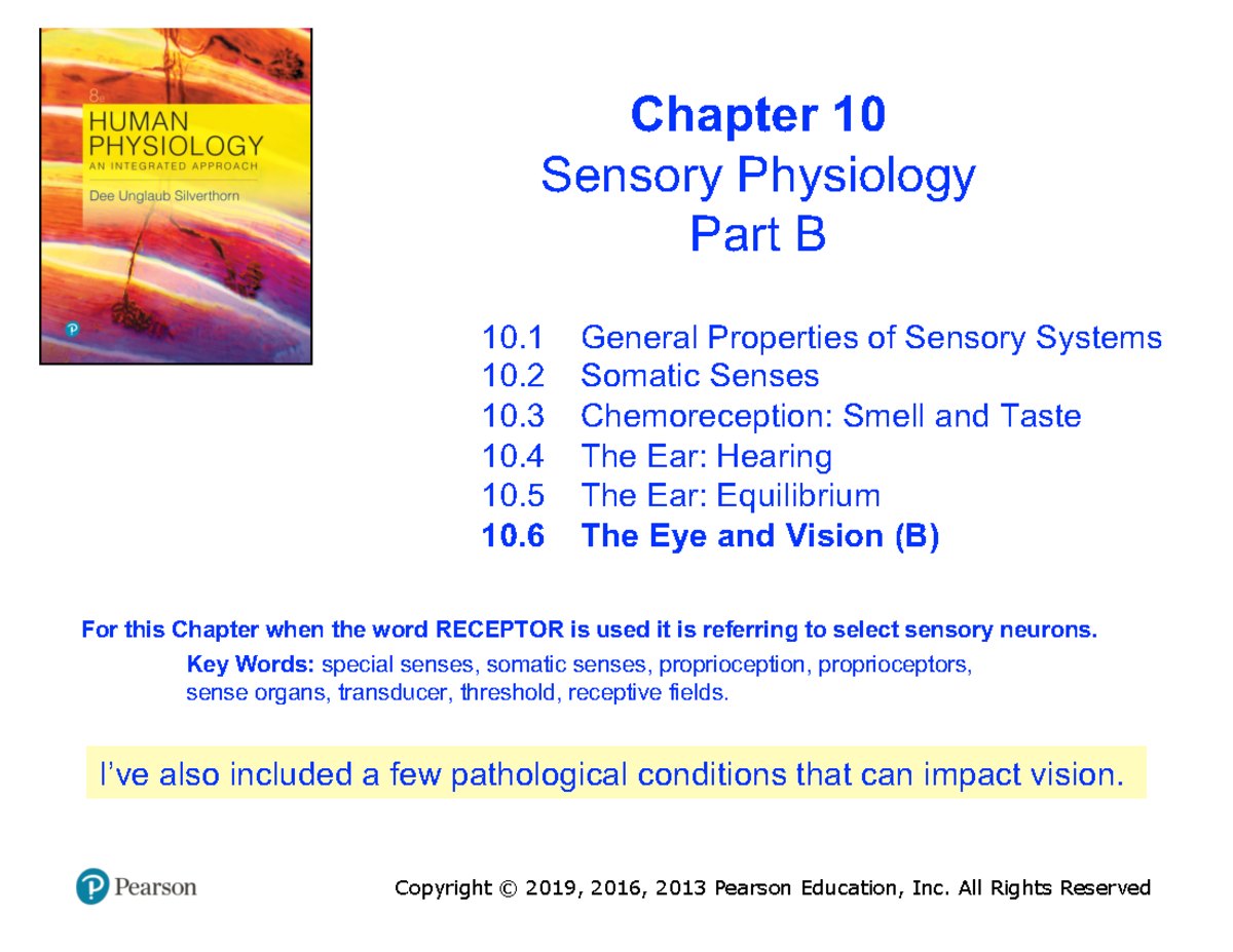 Ch 10B Bio590 F2022 - lecture notes - Chapter 10 Sensory Physiology ...