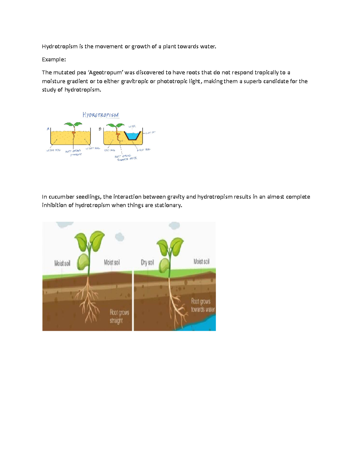 Caritan Biology 22 - Gen Bio - Hydrotropism is the movement or growth ...