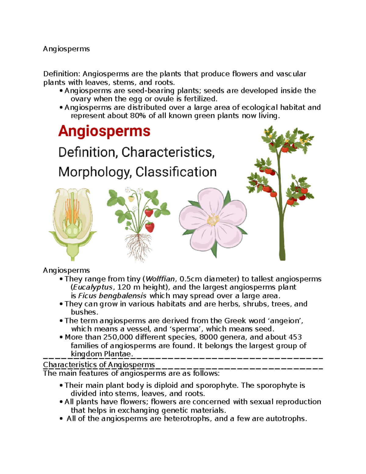 Angiosperms - notes - Angiosperms Definition: Angiosperms are the ...