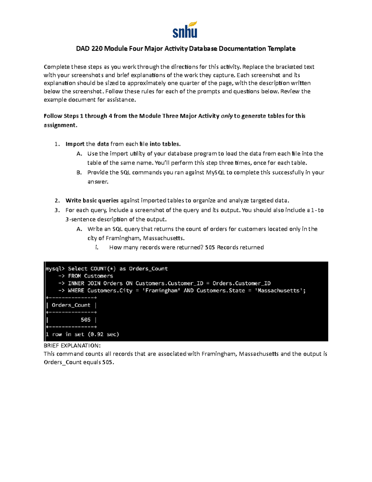 Dad 220 Module Four Major Activity Database Documentation Template Replace The Bracketed Text