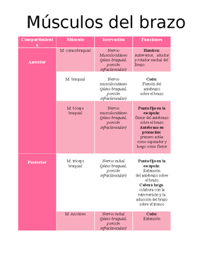 1.2 Puntos Craneometricos 2020 - Nasión Gnatión Prostión Nasoespinal ...