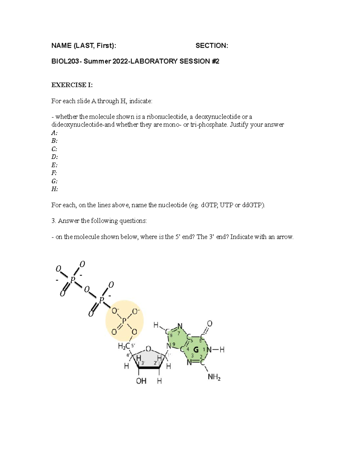 Exercise lab 02 - NAME (LAST, First): SECTION: BIOL203- Summer 2022 ...