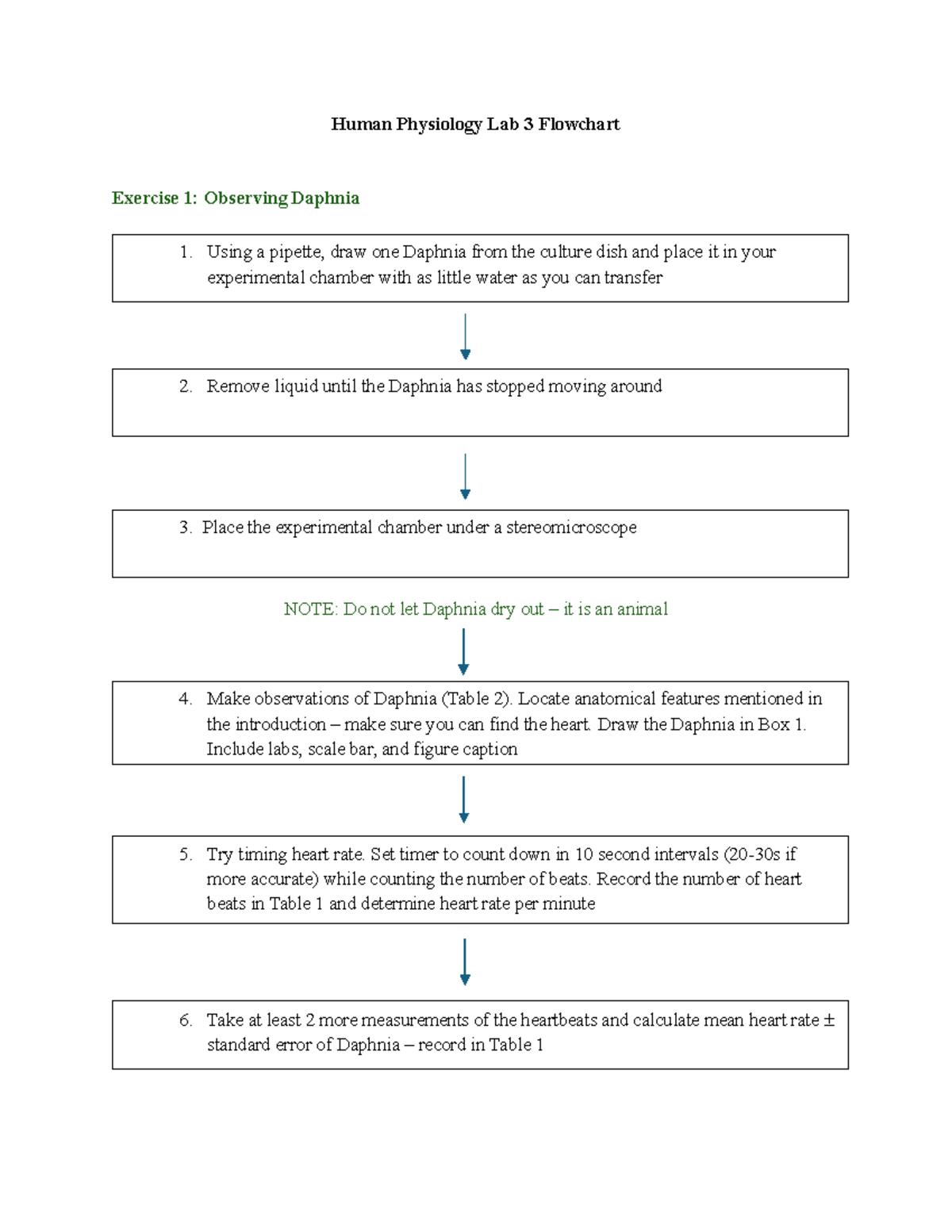 Human Physiology Lab 3 Flowchart - Human Physiology Lab 3 Flowchart Exercise 1: Observing ...