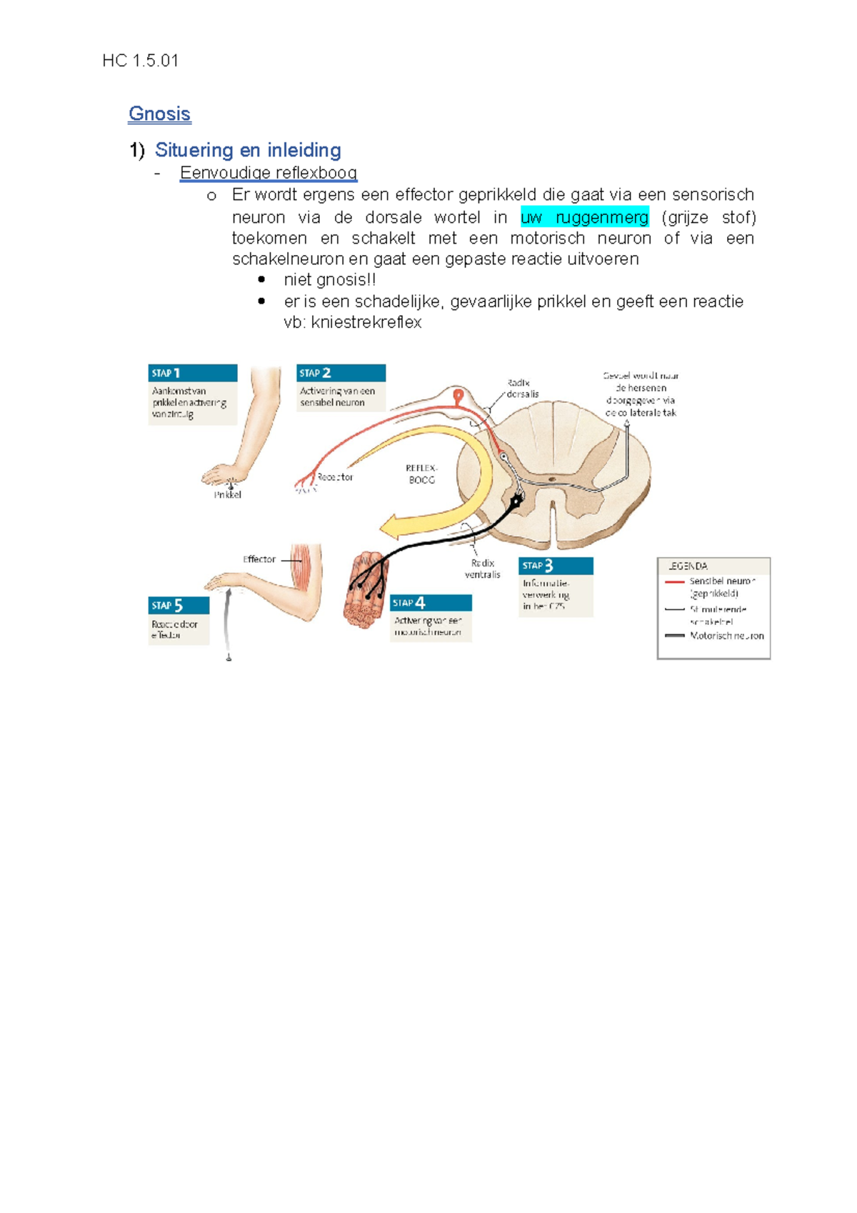 HC 1 - Samenvatting HC 1 blok 1.5 - Gnosis 1) Situering en inleiding ...