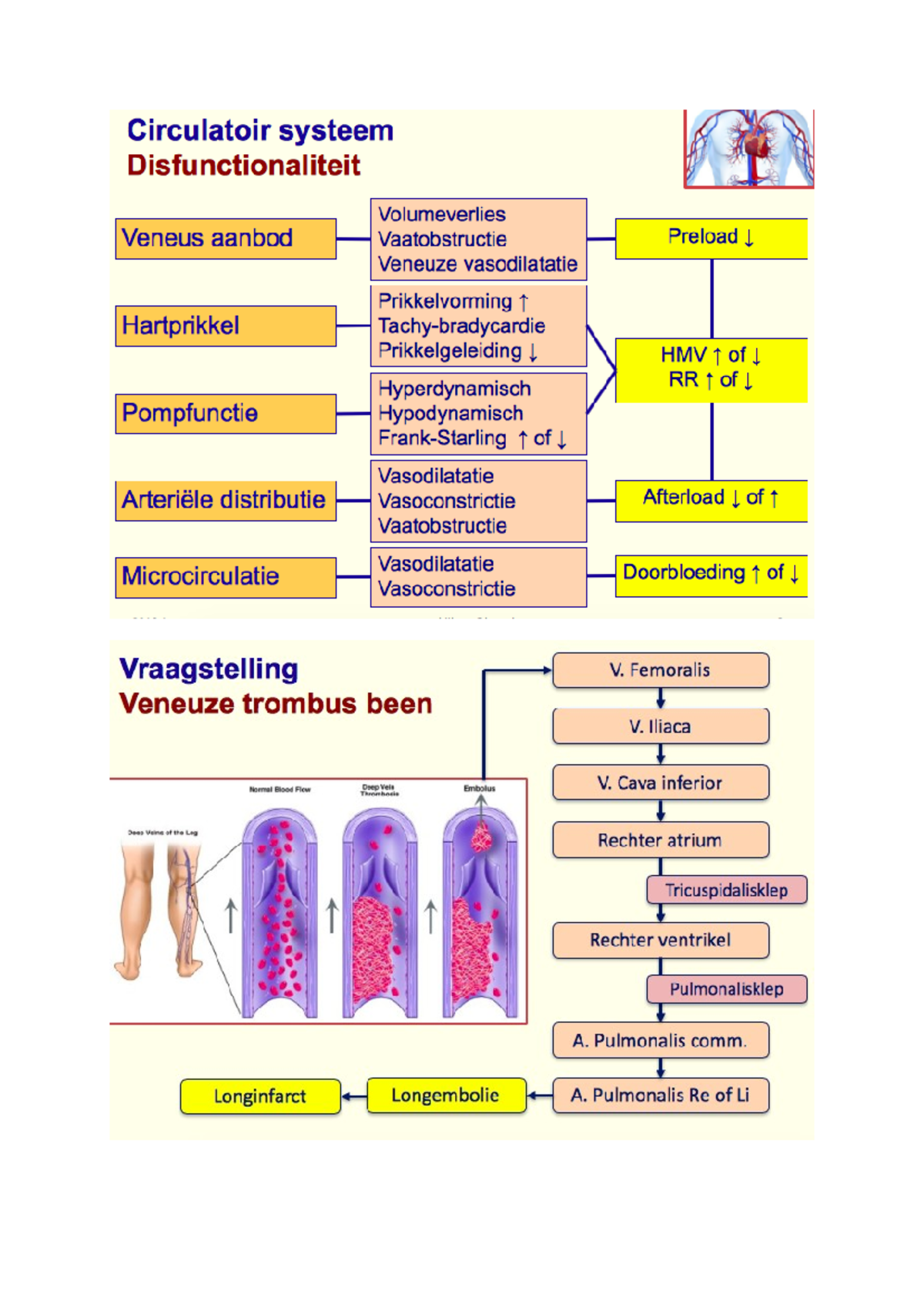 Vitale functiekunde Circulatie - MK: Vitale functiekunde - Studeersnel