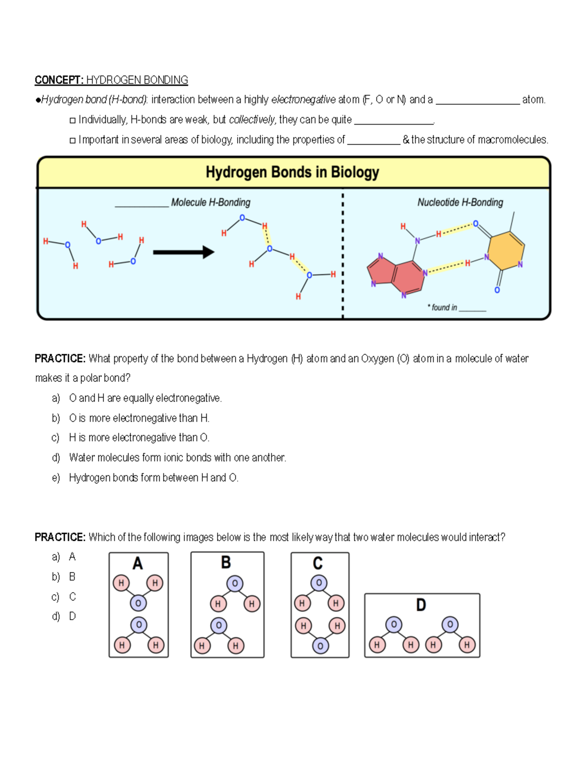 Hydrogen Bonding-worksheet - CONCEPT: HYDROGEN BONDING Hydrogen bond (H ...