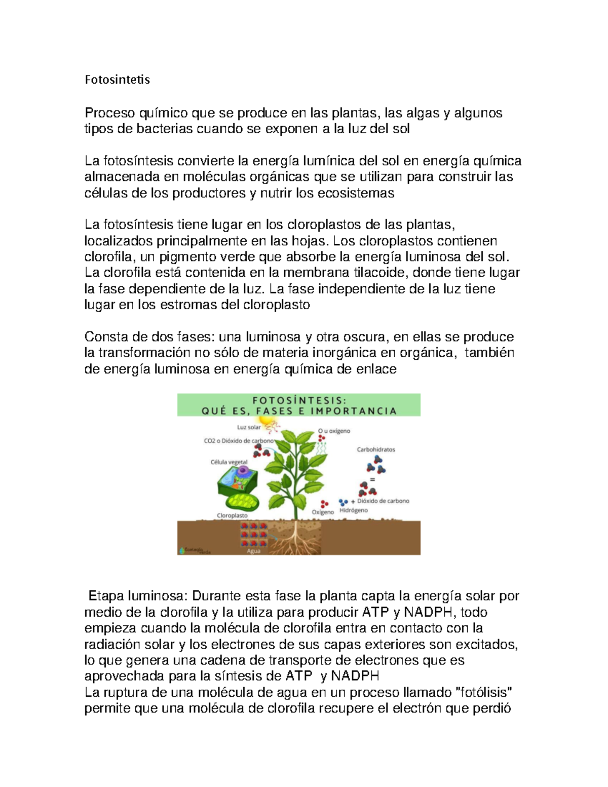 MET4 Bolismo - bio - Fotosintetis Proceso químico que se produce en las ...