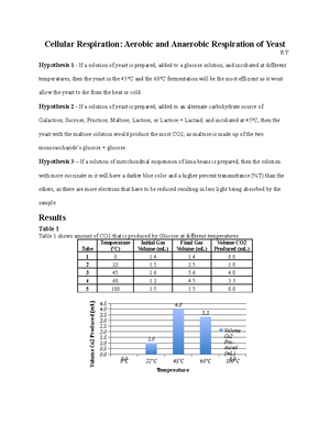 Anaerobic Respiration In Yeast Experiment