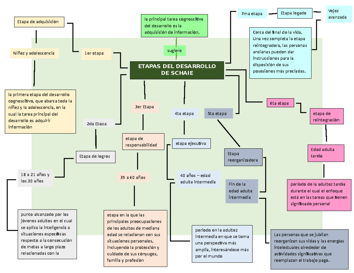 Mapa conceptual teoria Schaie - Niñez y adolescencia Etapa de ...