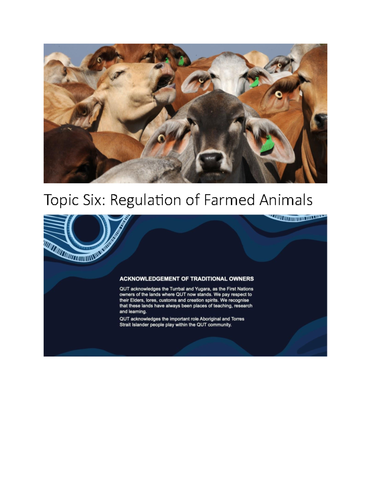 Topic Six Regulation of Farmed Animals - Topic Six: Regulation of ...