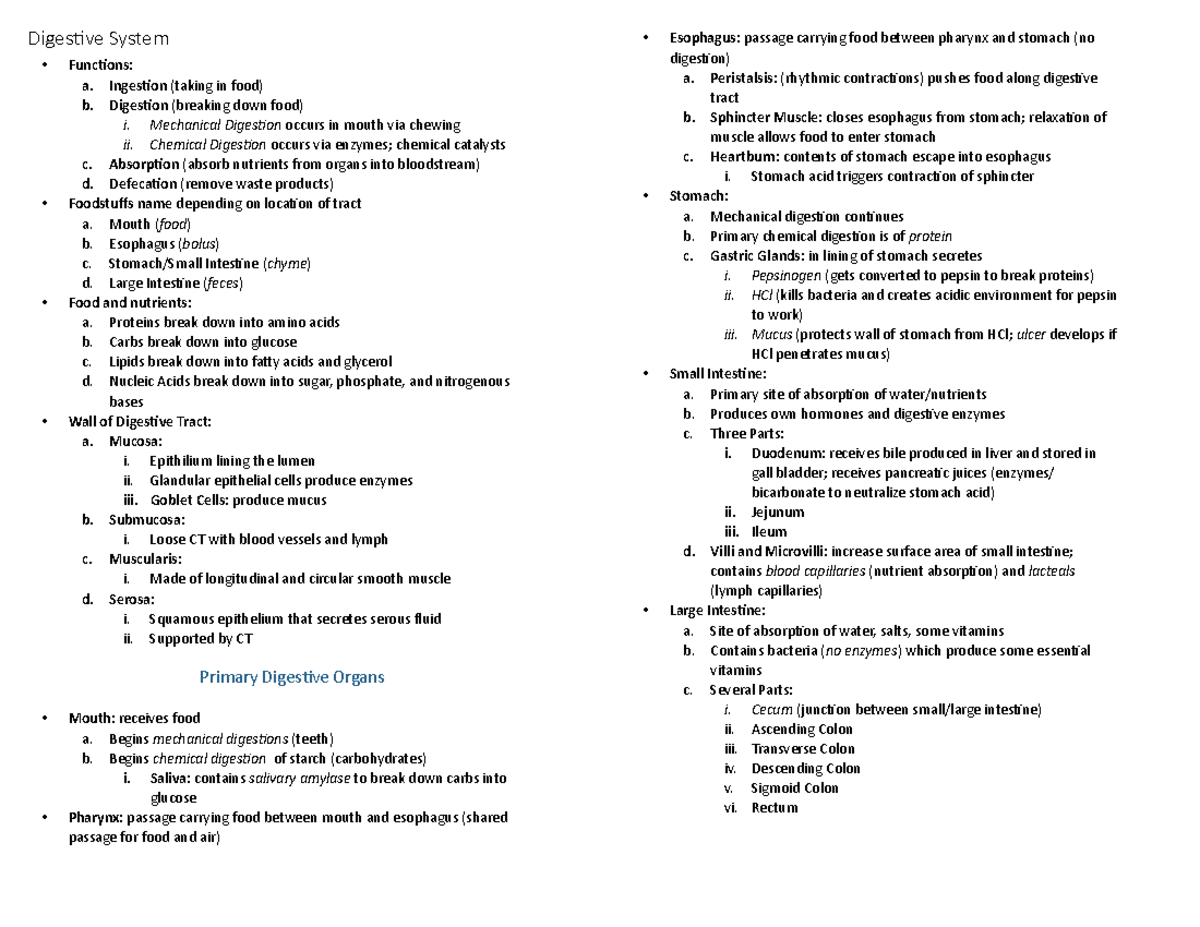 BIOL 1051 Test 4 - The Digestive System, The Urinary System - Diges&ve ...