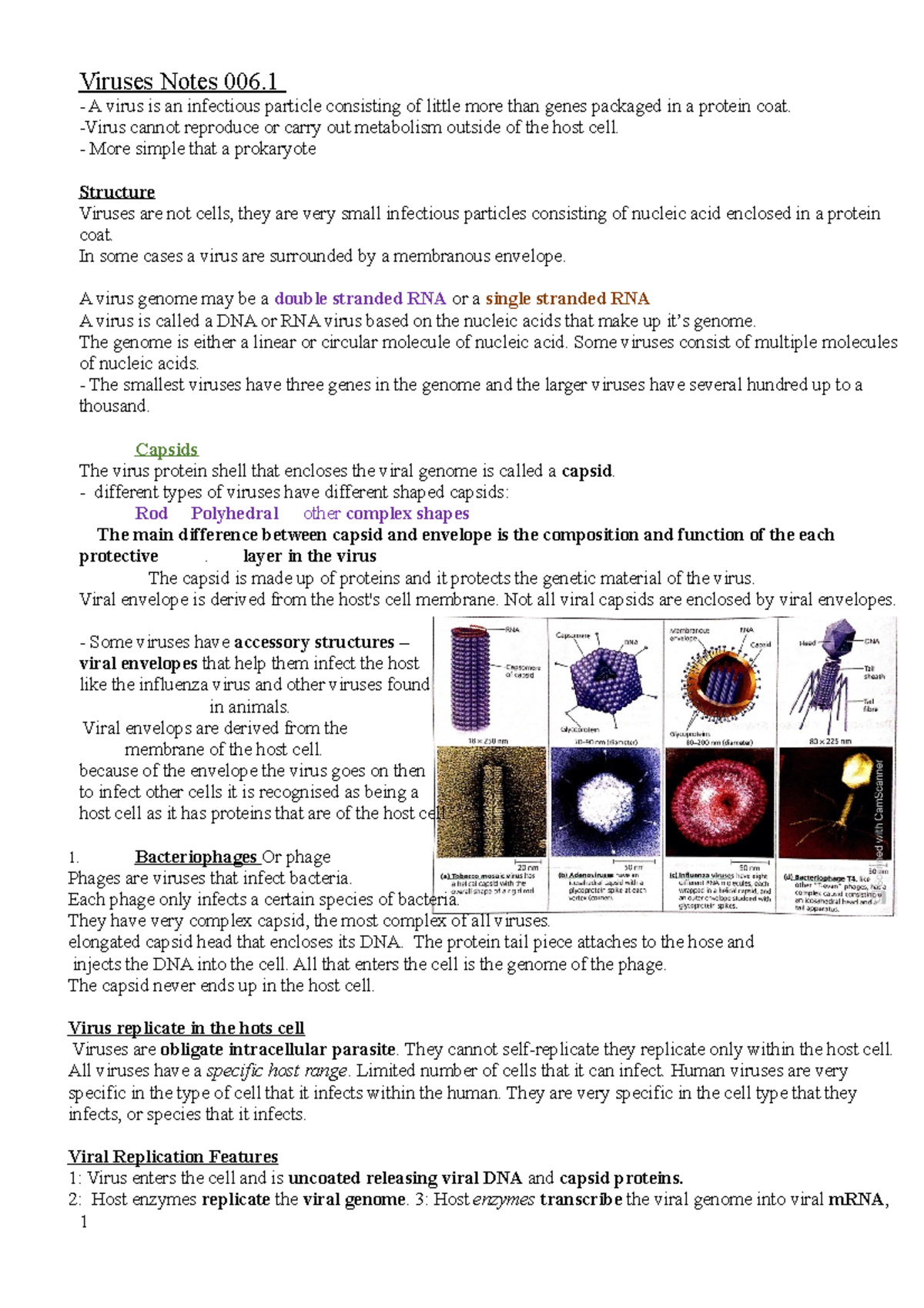 Viruses - Notes - Viruses Notes 006. A virus is an infectious particle ...
