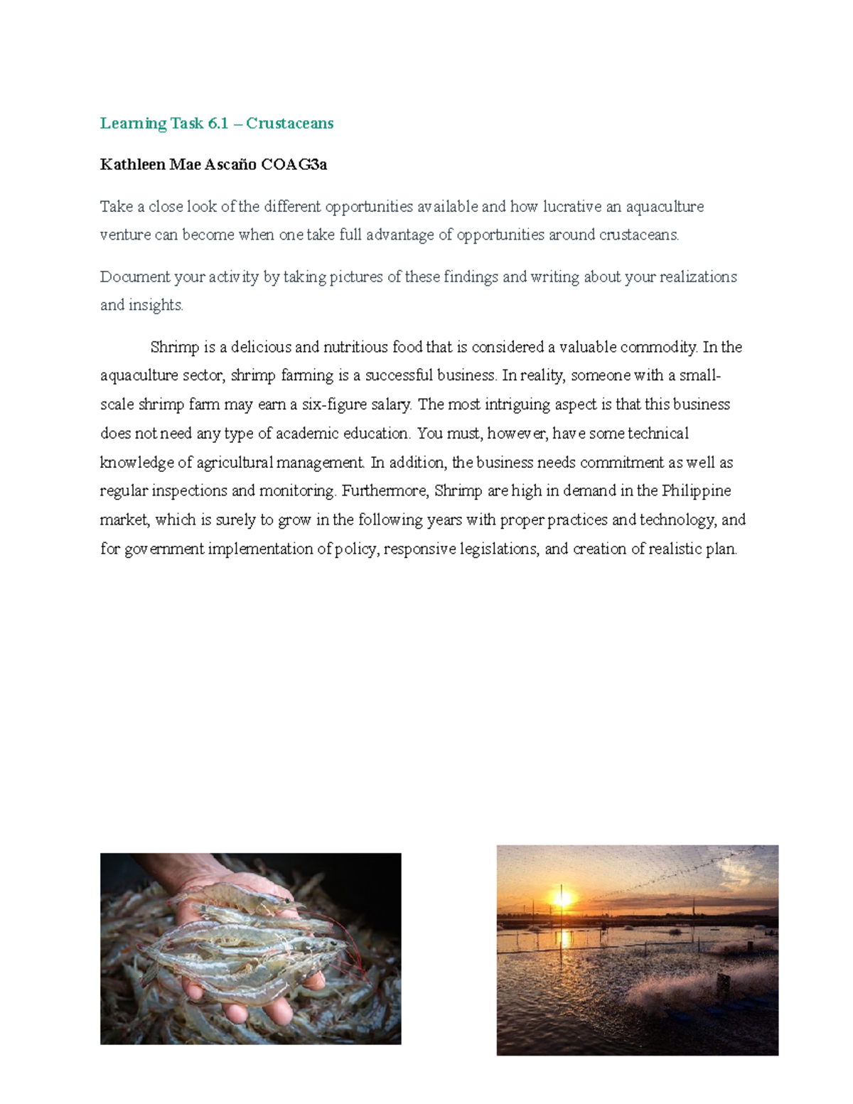 Learning Task 6.1 – Crustaceans - Learning Task 6 – Crustaceans ...