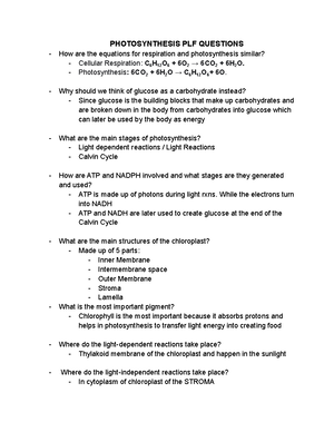 DNA & Gene Expression Lab Worksheet - DNA & Gene Expression Lab ...