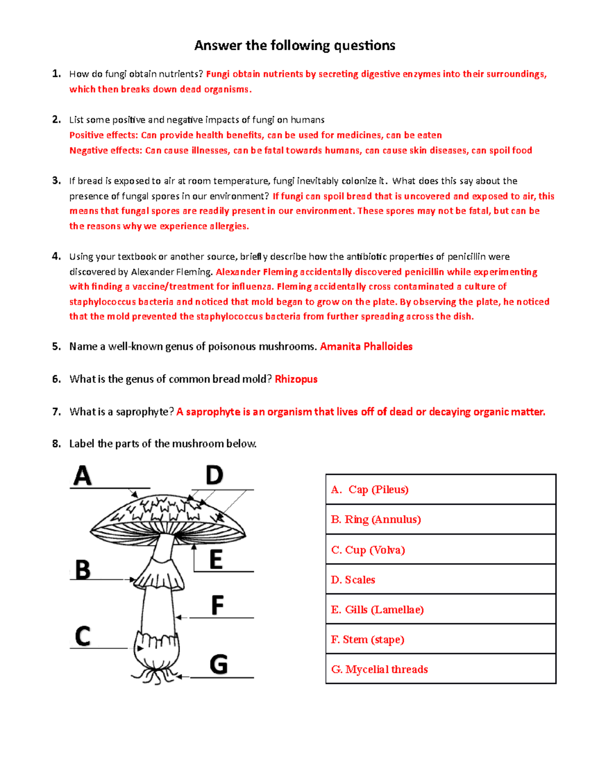 Exercise 27. Survey of the Kingdom Fungi Handout Modified - Answer the ...