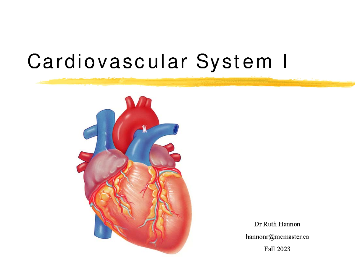 2023 CV System I Handout-1 - Cardiovascular System I Dr Ruth Hannon ...