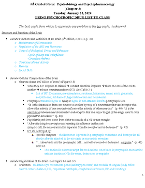 Guided Notes 8 - Lecture note on mental health - #8 Guided Notes ...