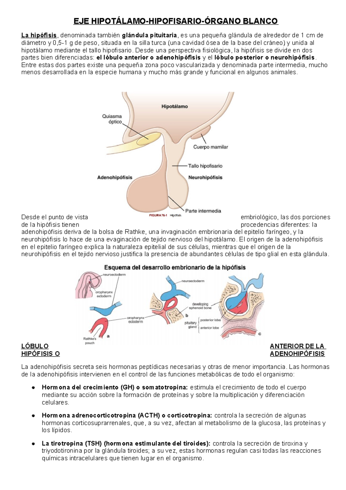 FISIOLOGÍA: EJE Hipotálamo- Hipofisario- Órgano Blanco - EJE HIPOTÁLAMO ...
