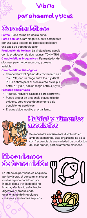 El cáncer es un crecimiento anormal y descontrolado de las células del ...