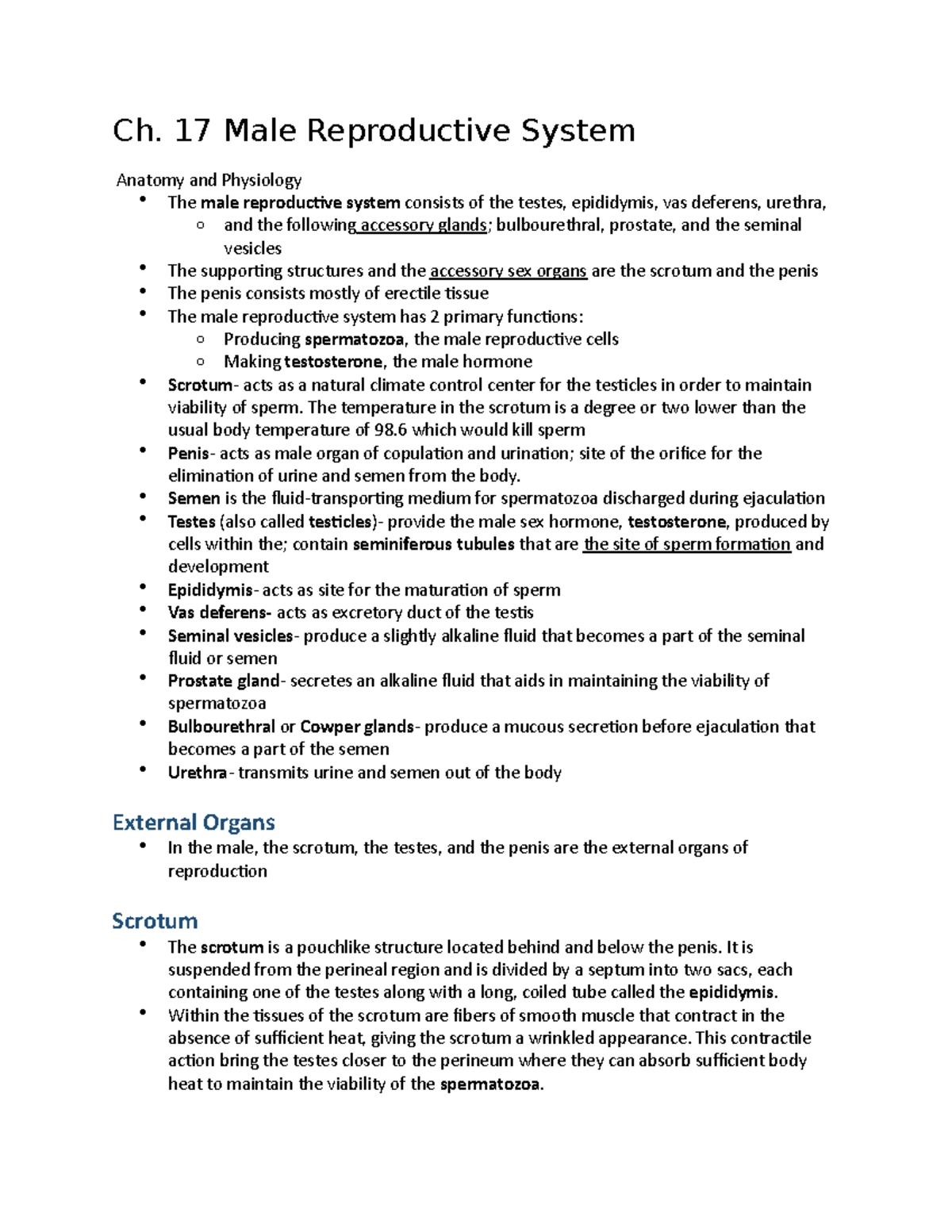 Ch. 17 Male Reproductive System - Ch. 17 Male Reproductive System ...