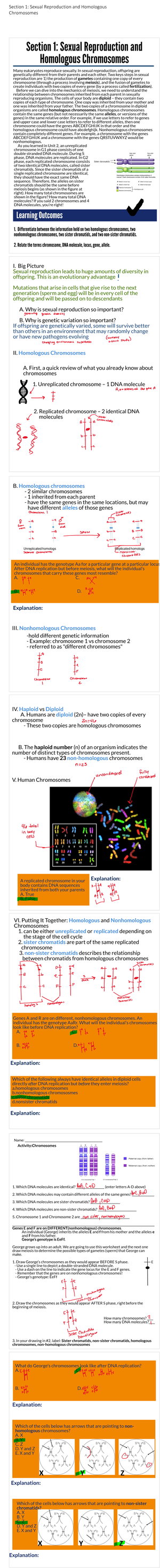 Reduction post lab - che 231 lab - REPORT in vial for cyclohexanol (g ...