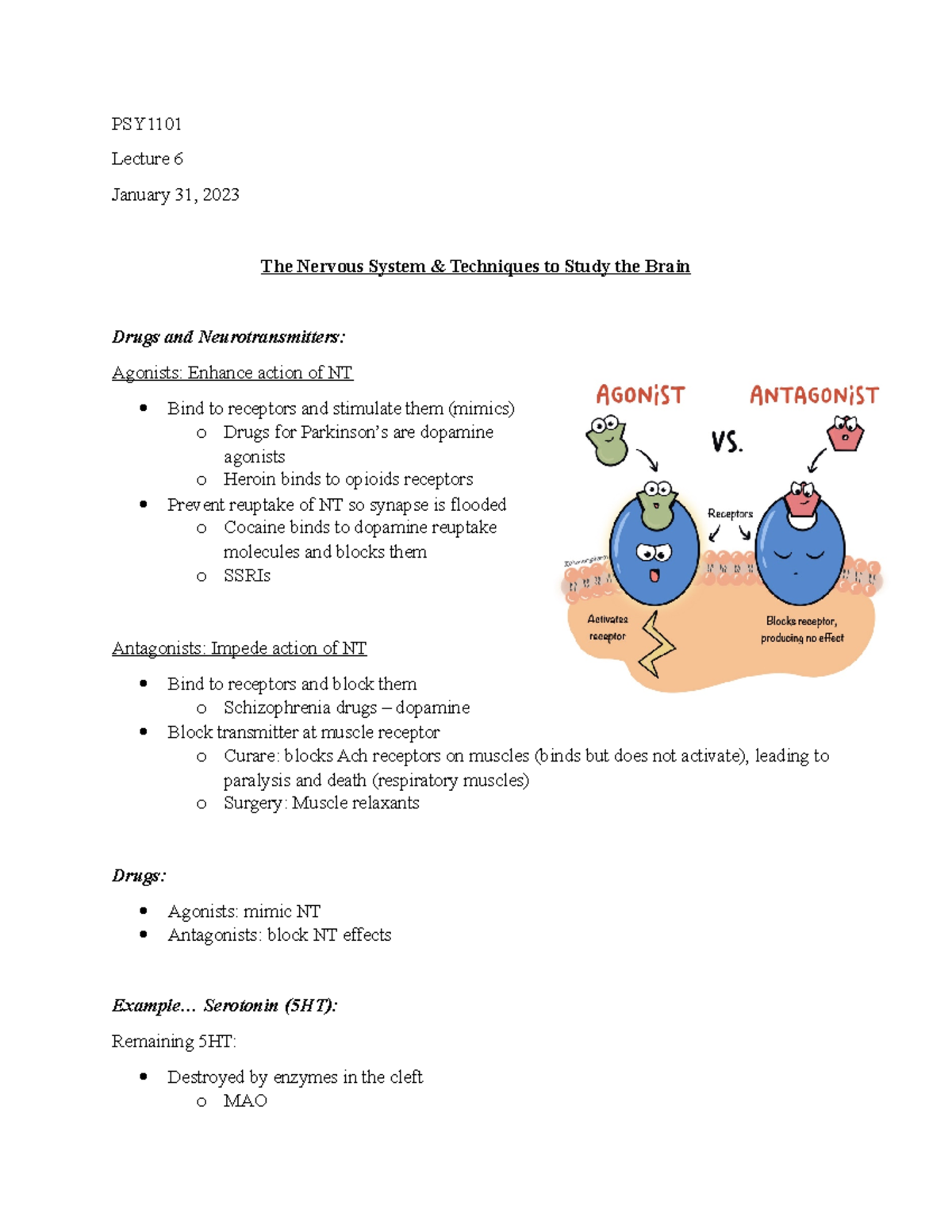 Nervous System and How to study the Brain - PSY Lecture 6 January 31 ...