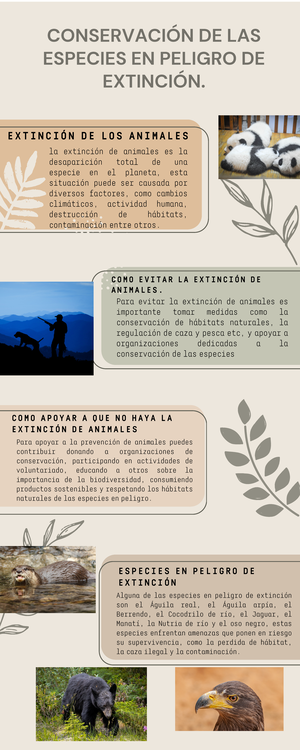 Modulo 17 Evolucion y repercusiones sociales - Guía de Estudio Modulo 17 Evolución y sus - Studocu