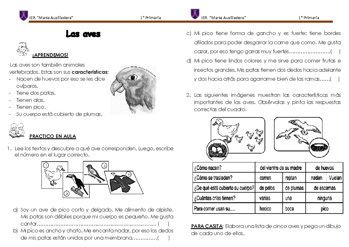 Cy T-LAS AVES - PRACTICA AVES - IEP. “María Auxiliadora” 1 ° Primaria ...
