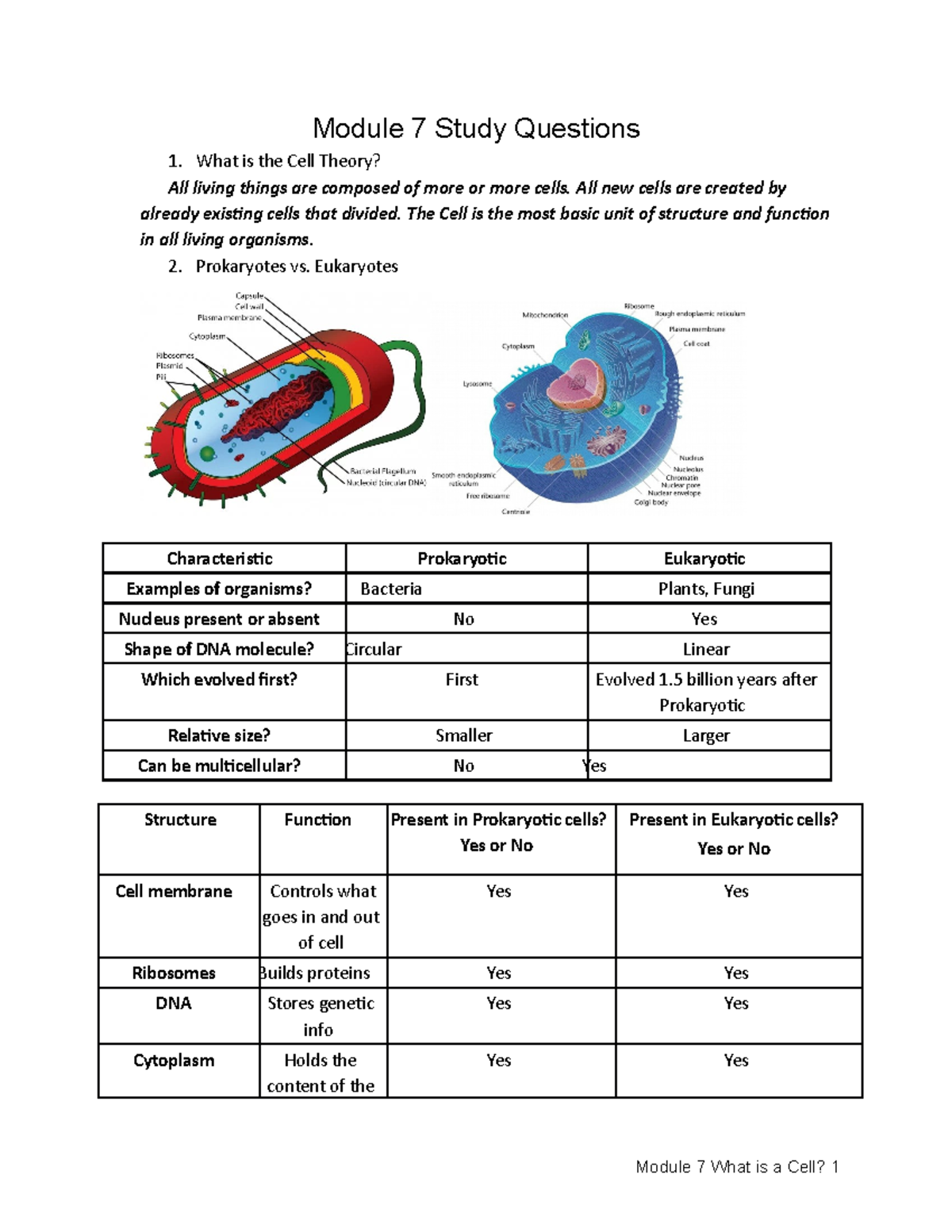 Module 7 Study Questions - Module 7 Study Questions What is the Cell ...