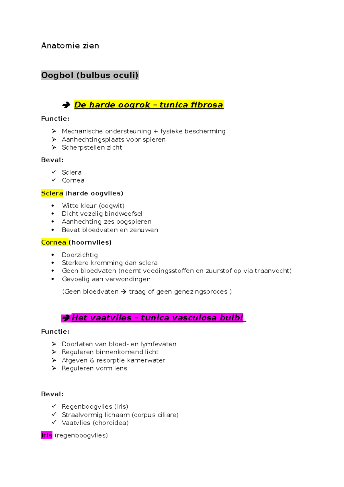 Anatomie zien samenvattig tunica - Anatomie zien Oogbol (bulbus oculi ...