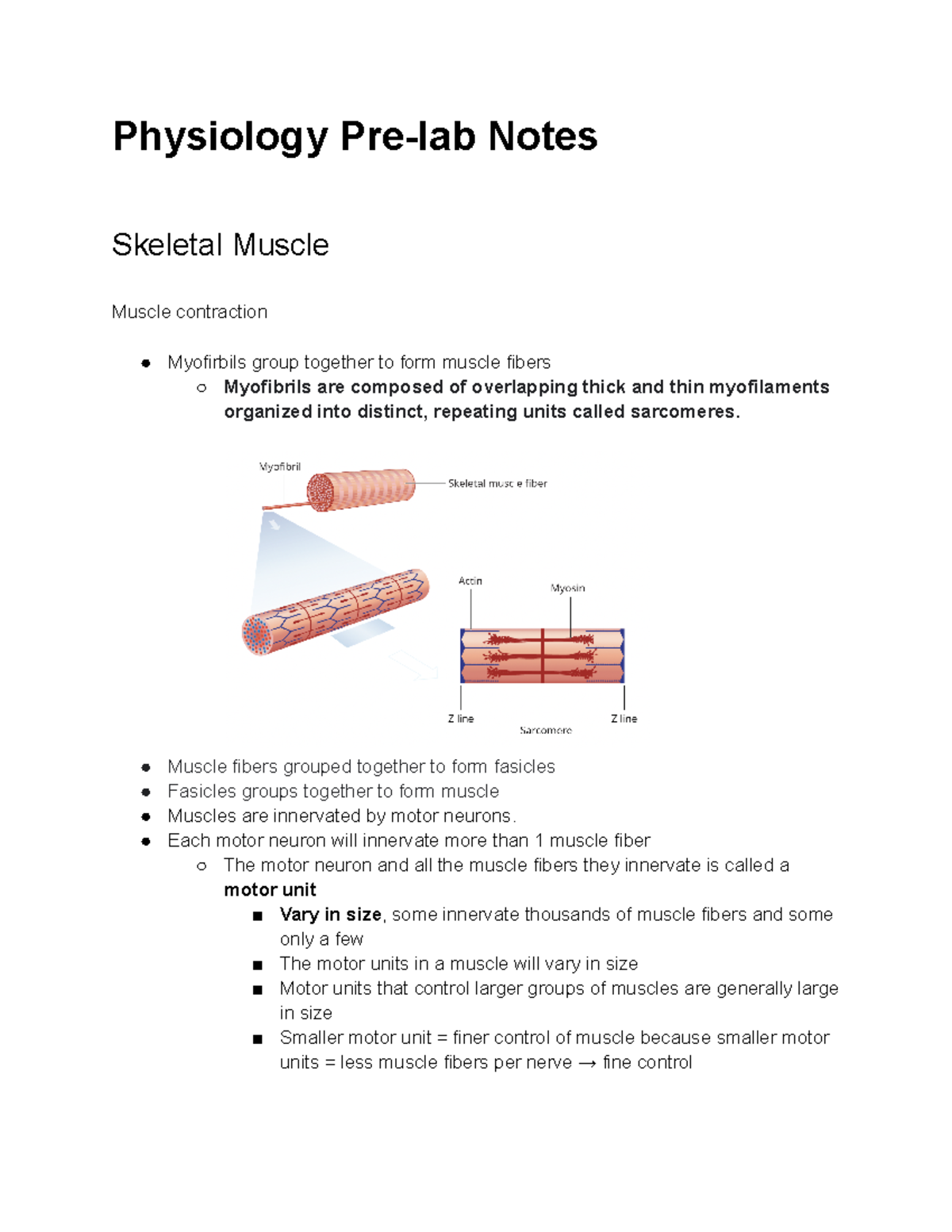 PHOL0001 - Pre-lab Notes - Physiology Pre-lab Notes Skeletal Muscle ...