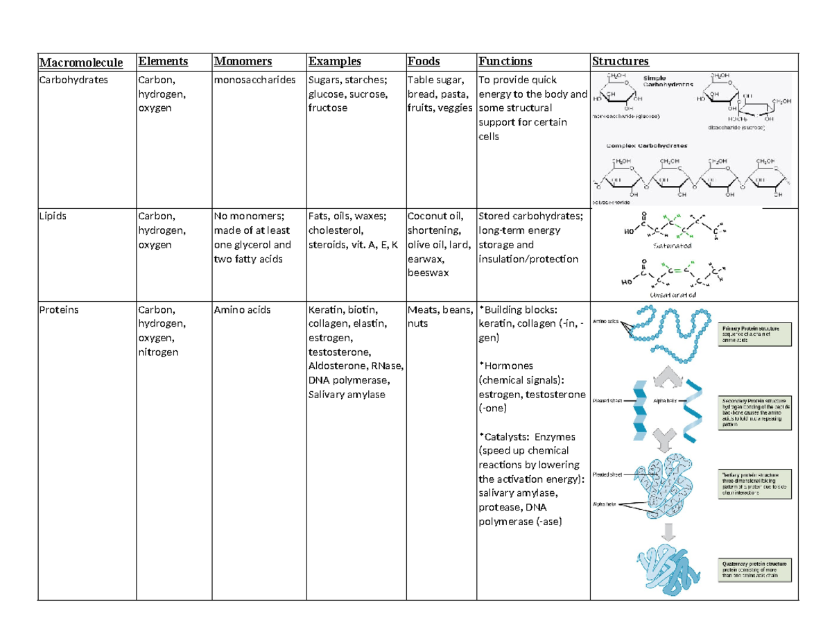 Macromolecules Table - Macromolecule Elements Monomers Examples Foods Functions Structures - Studocu